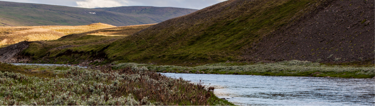 Conservation | INEOS Foundations